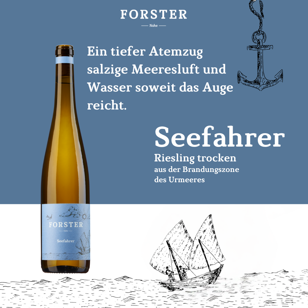 Seefahrer Bio-Riesling 2025 – Weingut Forster